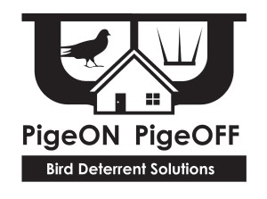 Home - Pigeonpigeoff